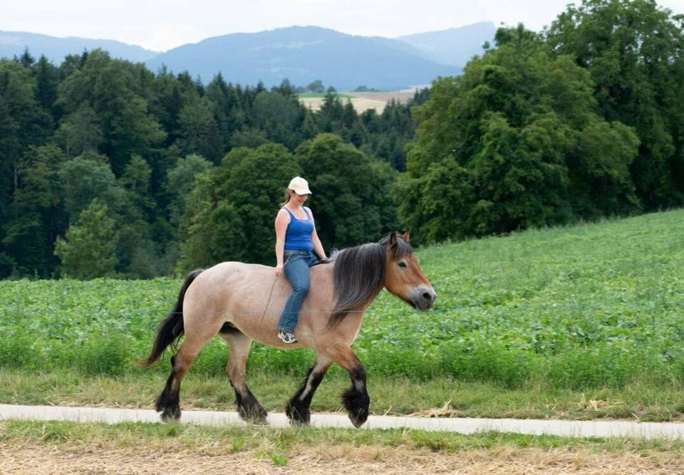 Travailler en équilibre et en harmonie avec son cheval - Cavalnet - les ...